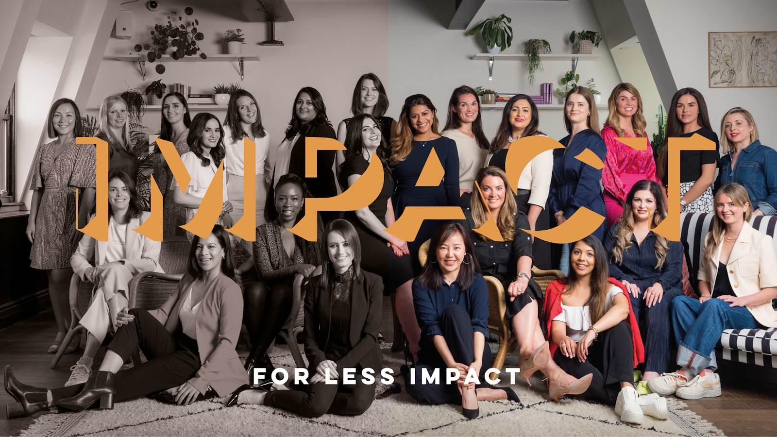 Welcome to Haymarket Impact - Wonderly